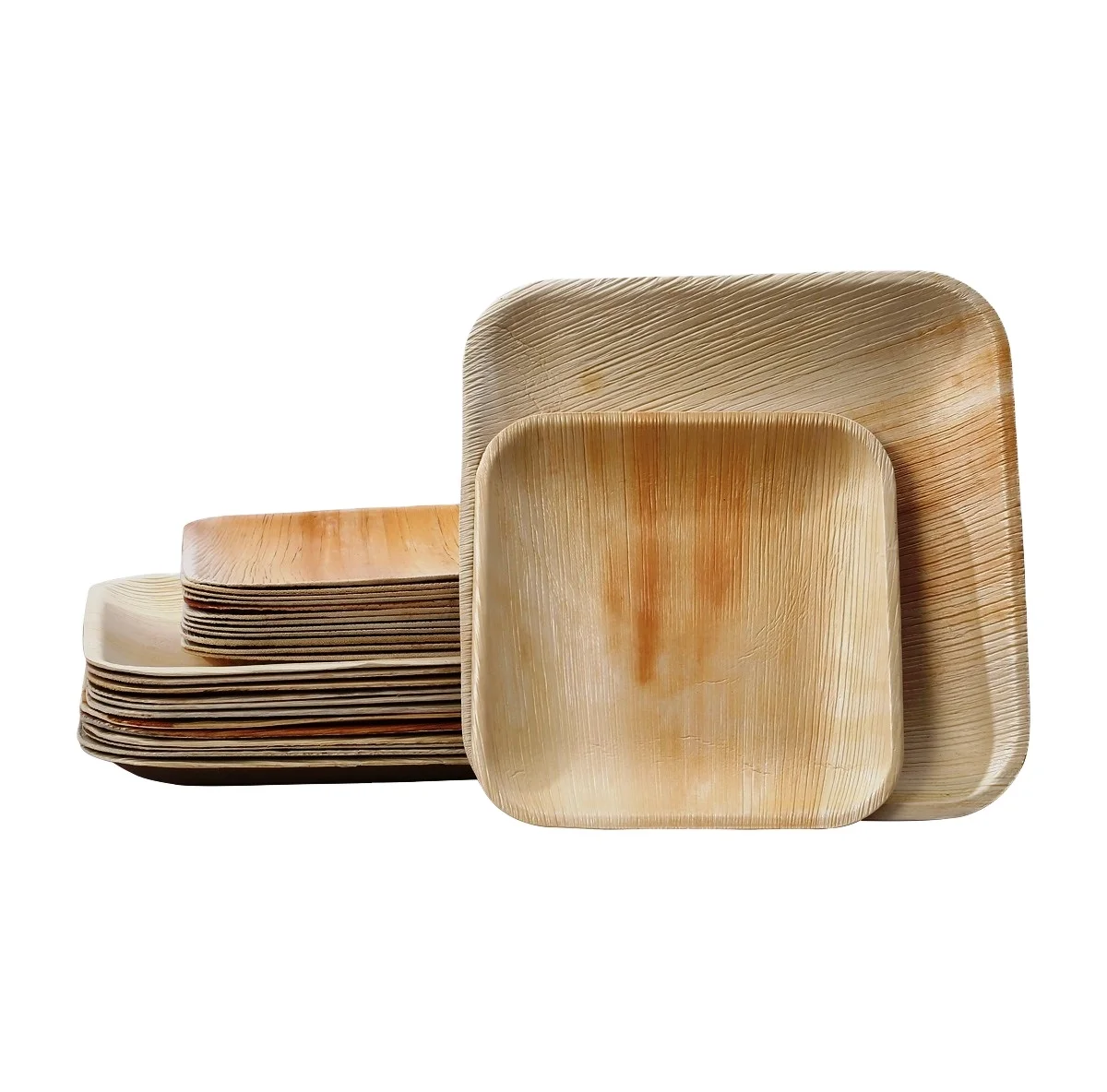 Palm Leaf Disposable Plates -100% Biodegradable & Natural Bamboo Plates ...