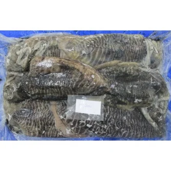 Cuttlefish/frozen Whole Cuttle Fish/fillets And Baby Cuttlefish/fresh ...