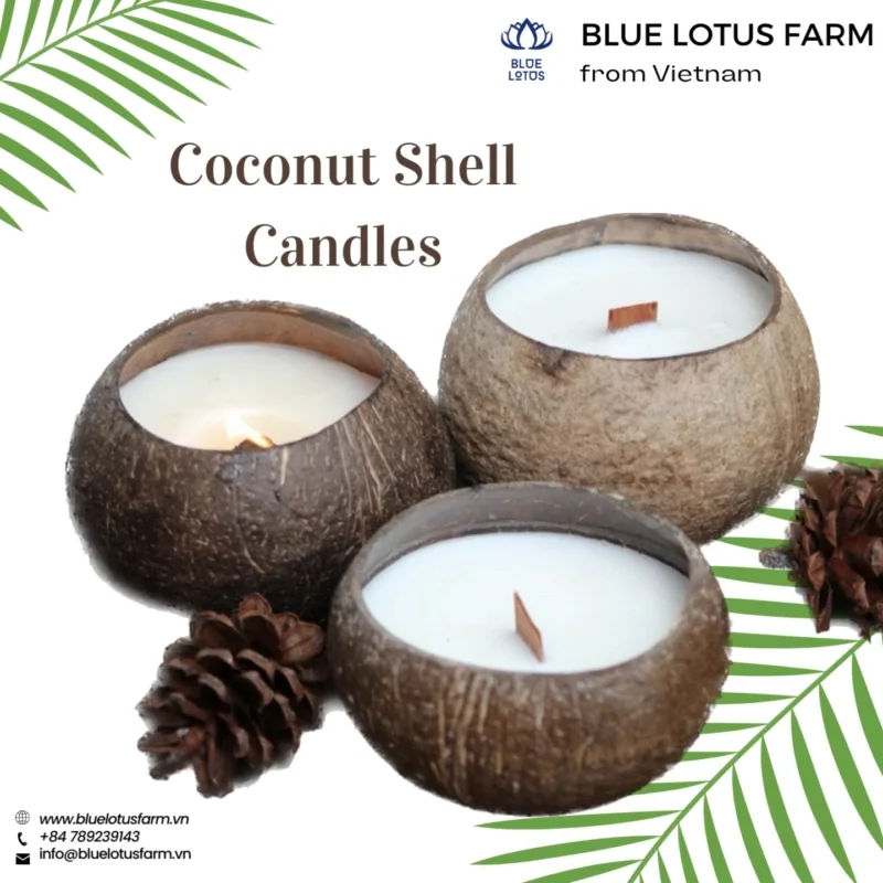 Luxury Coconut Shell Bowls Candle Wood Wick Scented Candle Essential ...