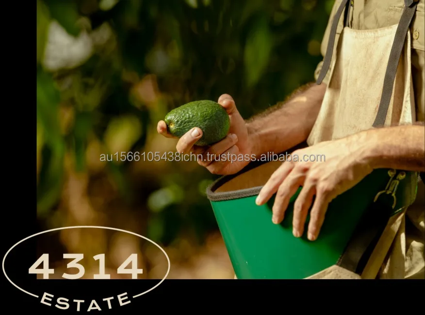 Harnessing The Region's Unique Nutrient-dense Volcanic Soil And Sun ...