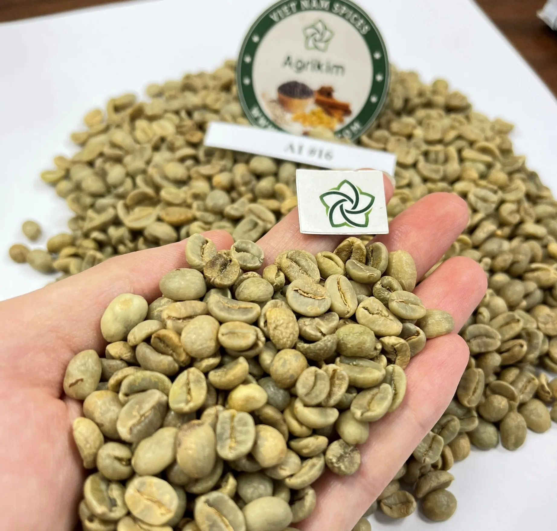 Green Coffee Bean 60kg Jute Bag Grade 1 Coffee Screen 16 Wet Polished ...