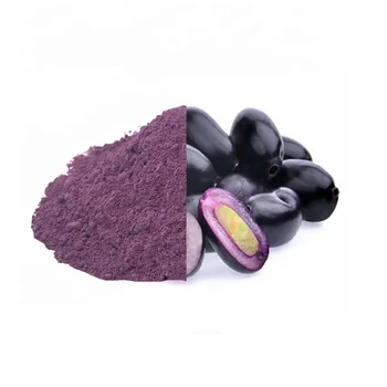Wholesale Price Organic Jamun Powder From India Freeze Dried Natural ...