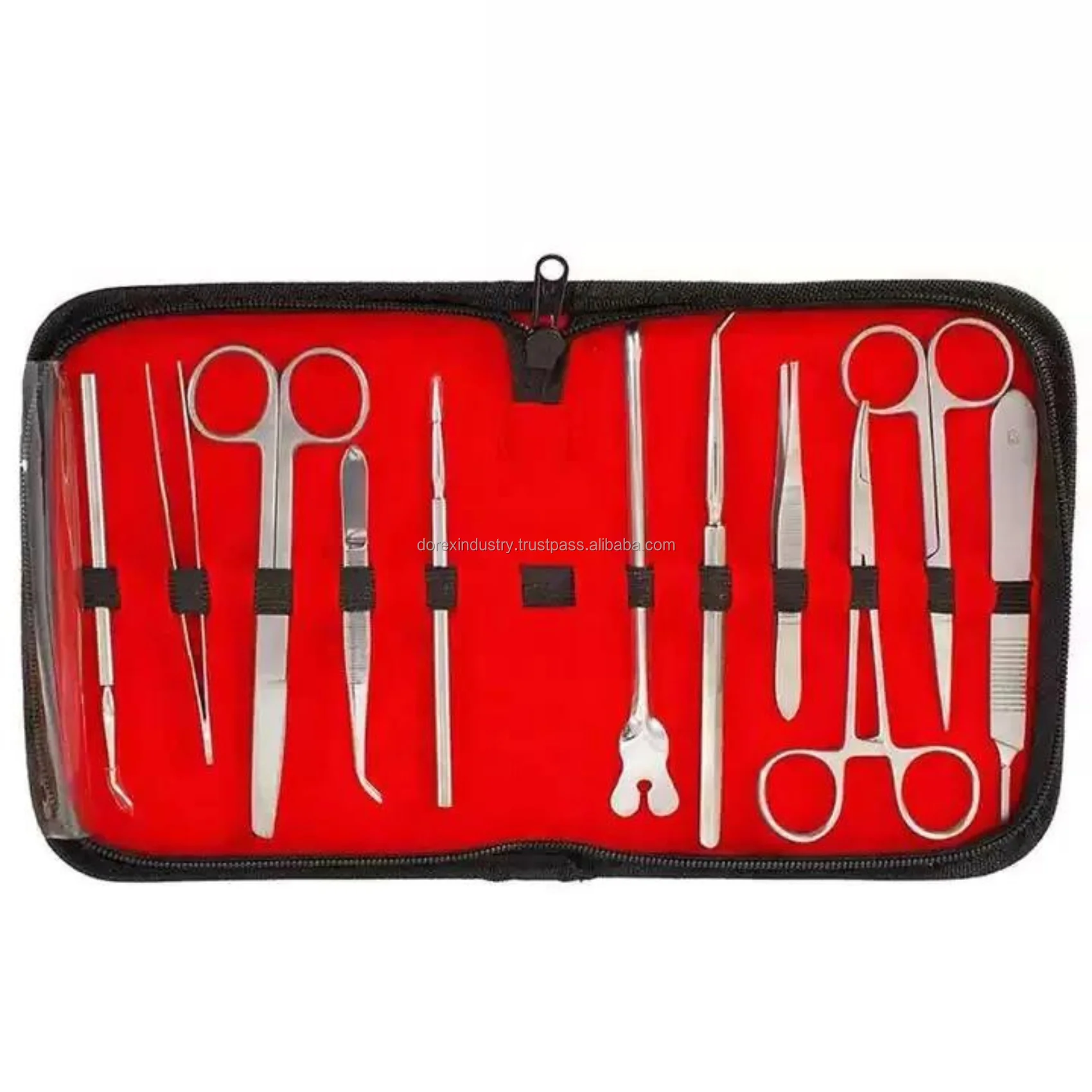 Kit De Dissection Avancé Ensemble De Dissection D'anatomie De ...