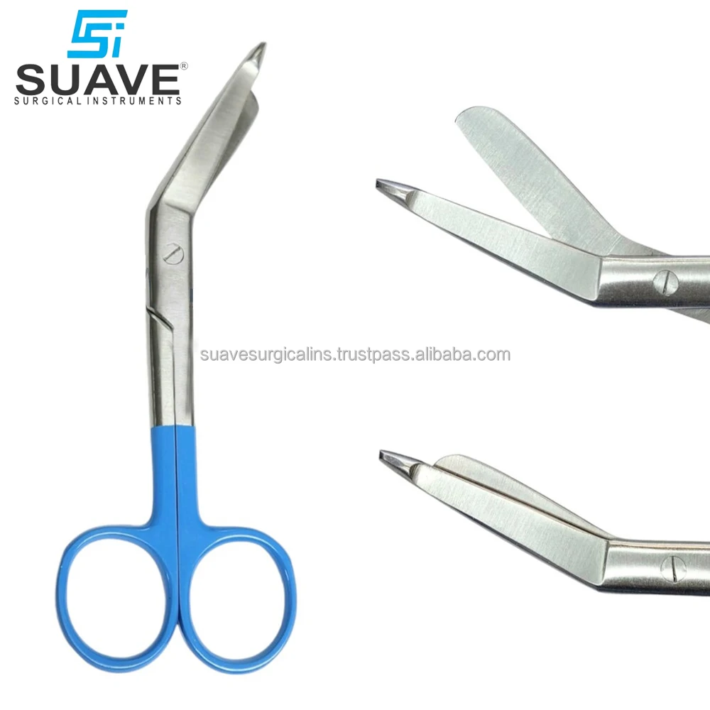 5.5 Blue Handle Multi Purpose Stainless Steel 2024 Best Supplier ...