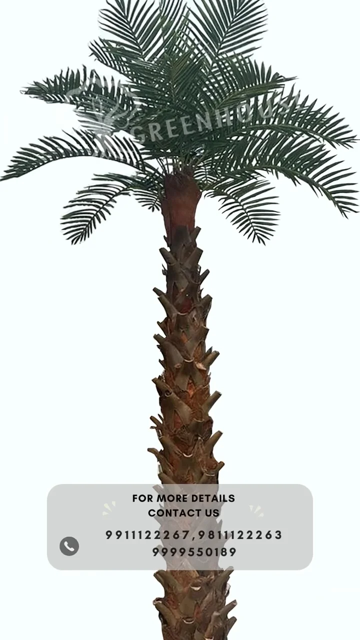 Artificial Date Palm Tree With Natural Preserve Leaf For Indoor ...
