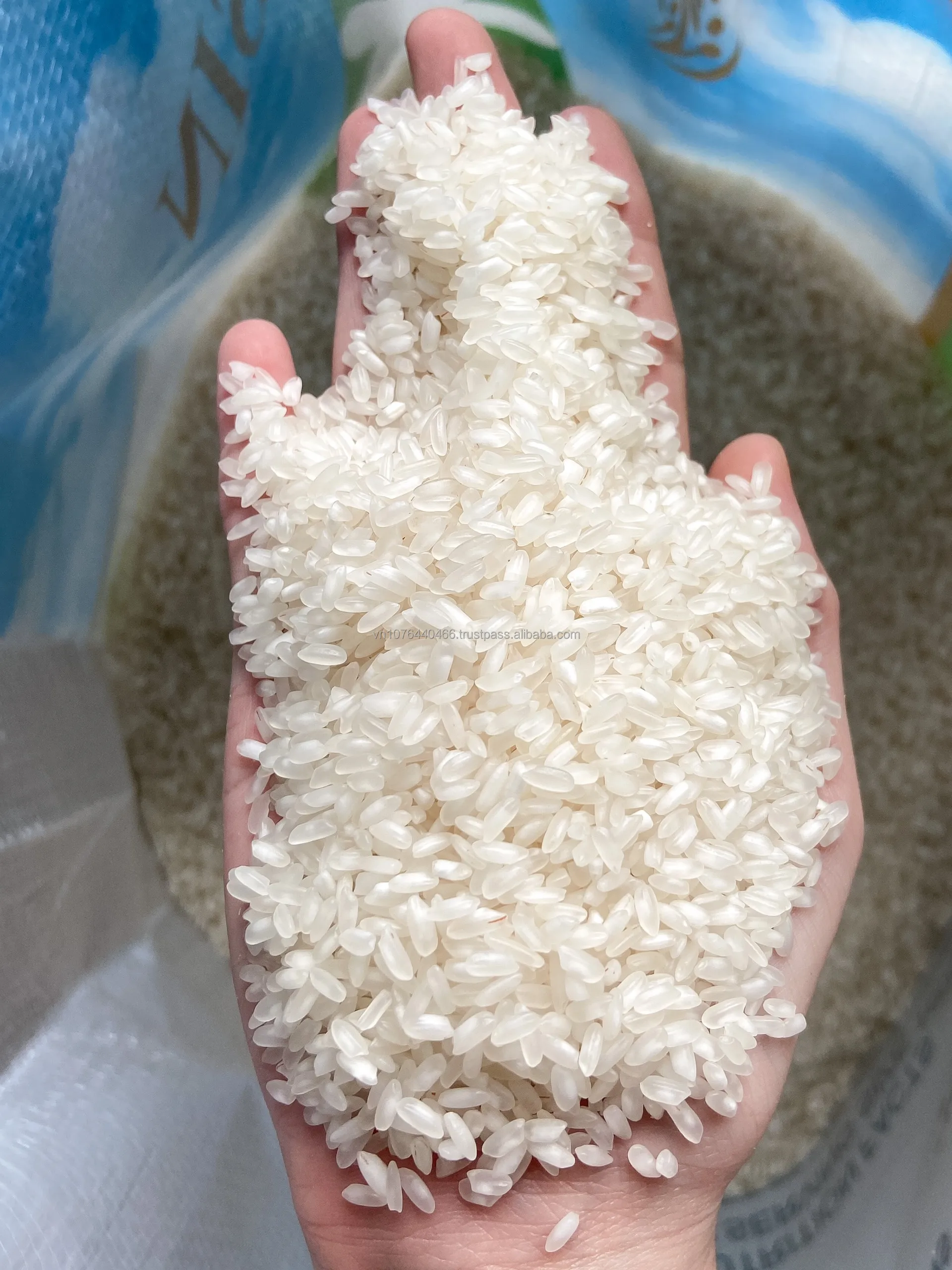 Egyptian Camolino Japonica Sushi Rice Short Round Rice Japanese Rice Calrose Camolino Rice ...