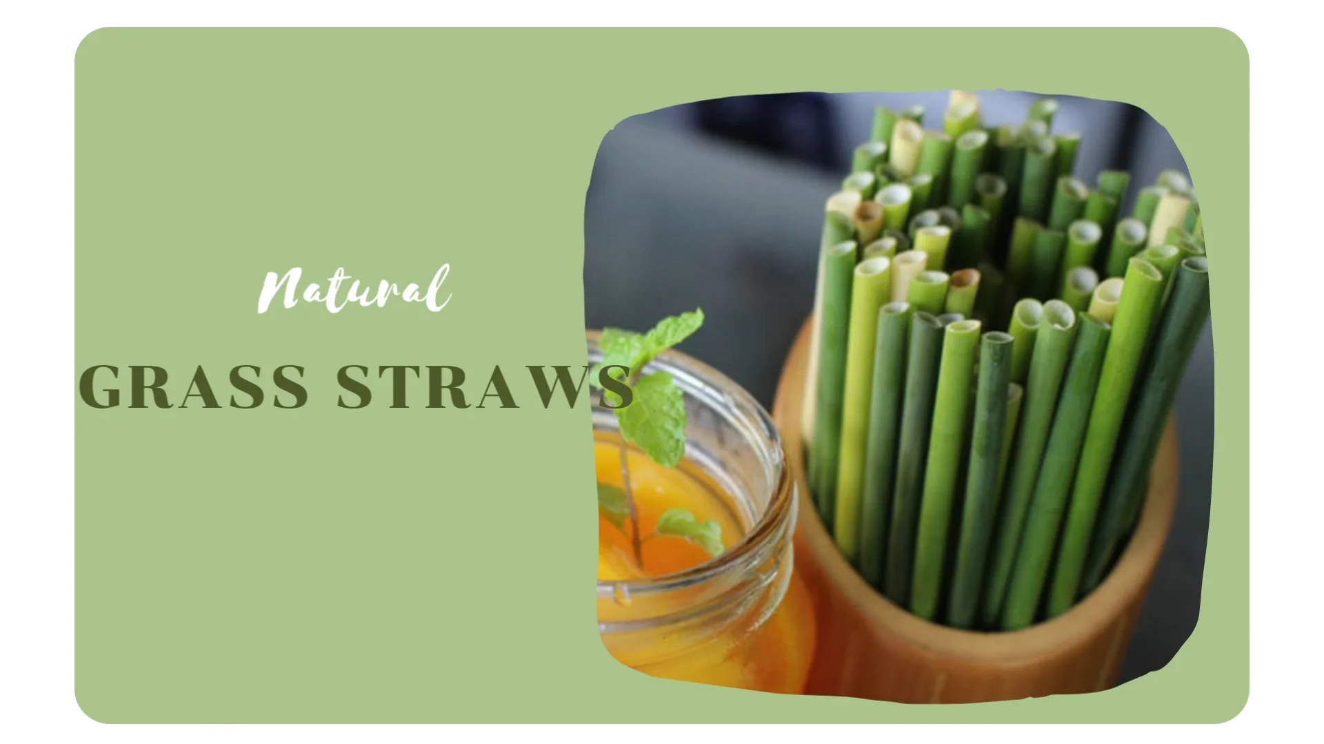 Grass Straw Eco Friendly Biodegradable Disposable 100% Natural Grass ...
