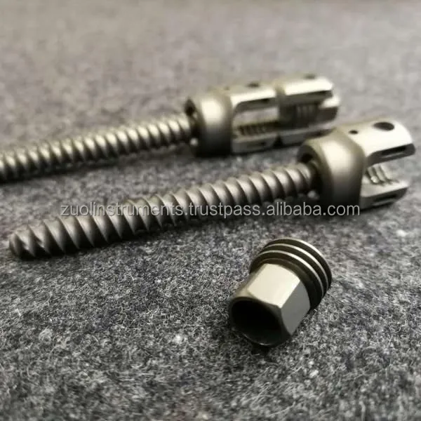 Cervical Intervertebral Fusion Cage System Peek Orthopedic Implant For ...