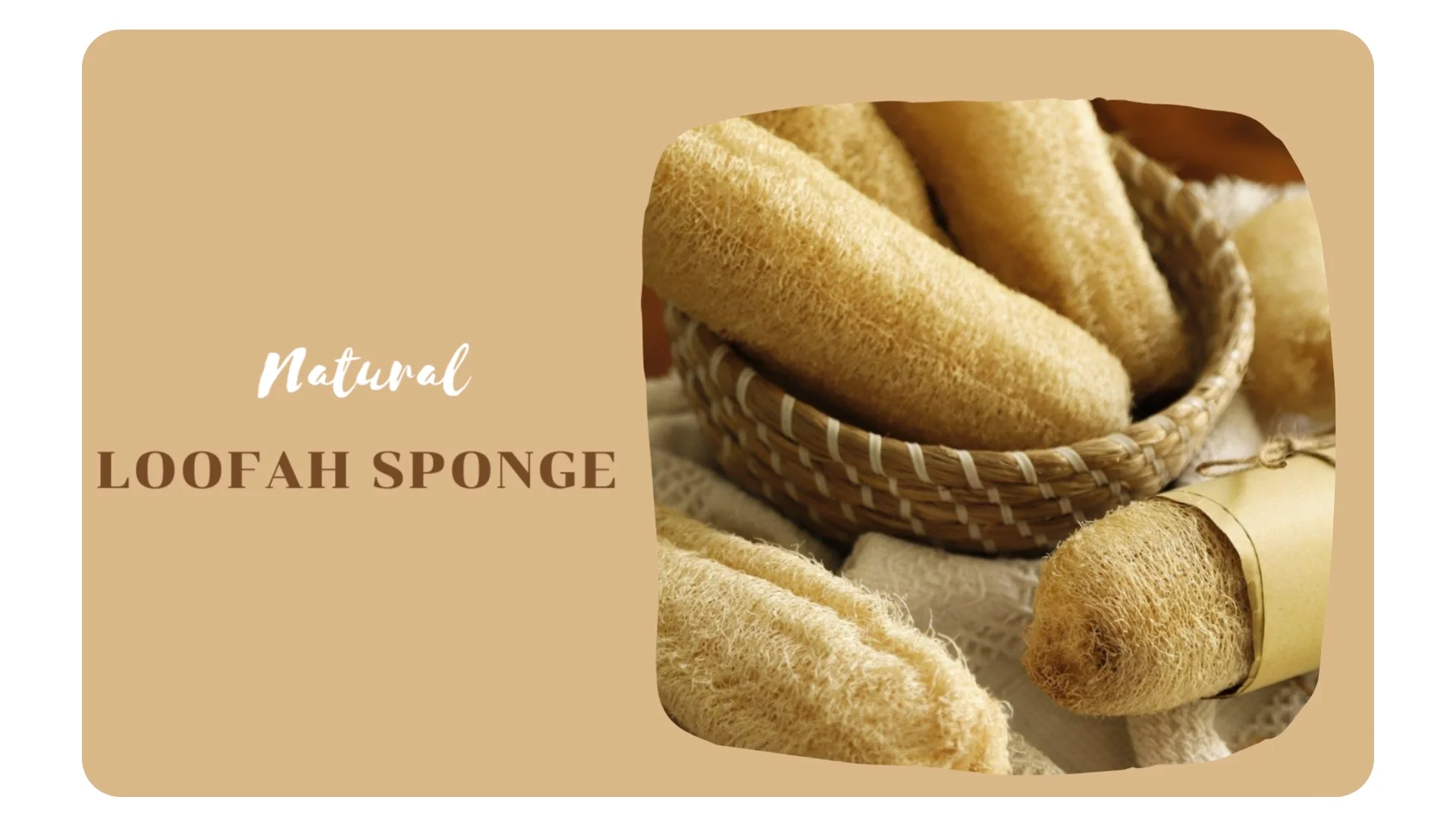 Natural Exfoliating Loofah Sponges For Body And Face With Free Sample ...