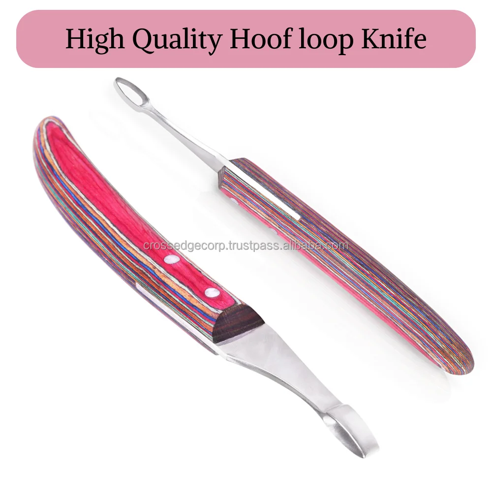 Professional Made Farrier Equipments Abscess Hoof Loop Knife Trimming ...