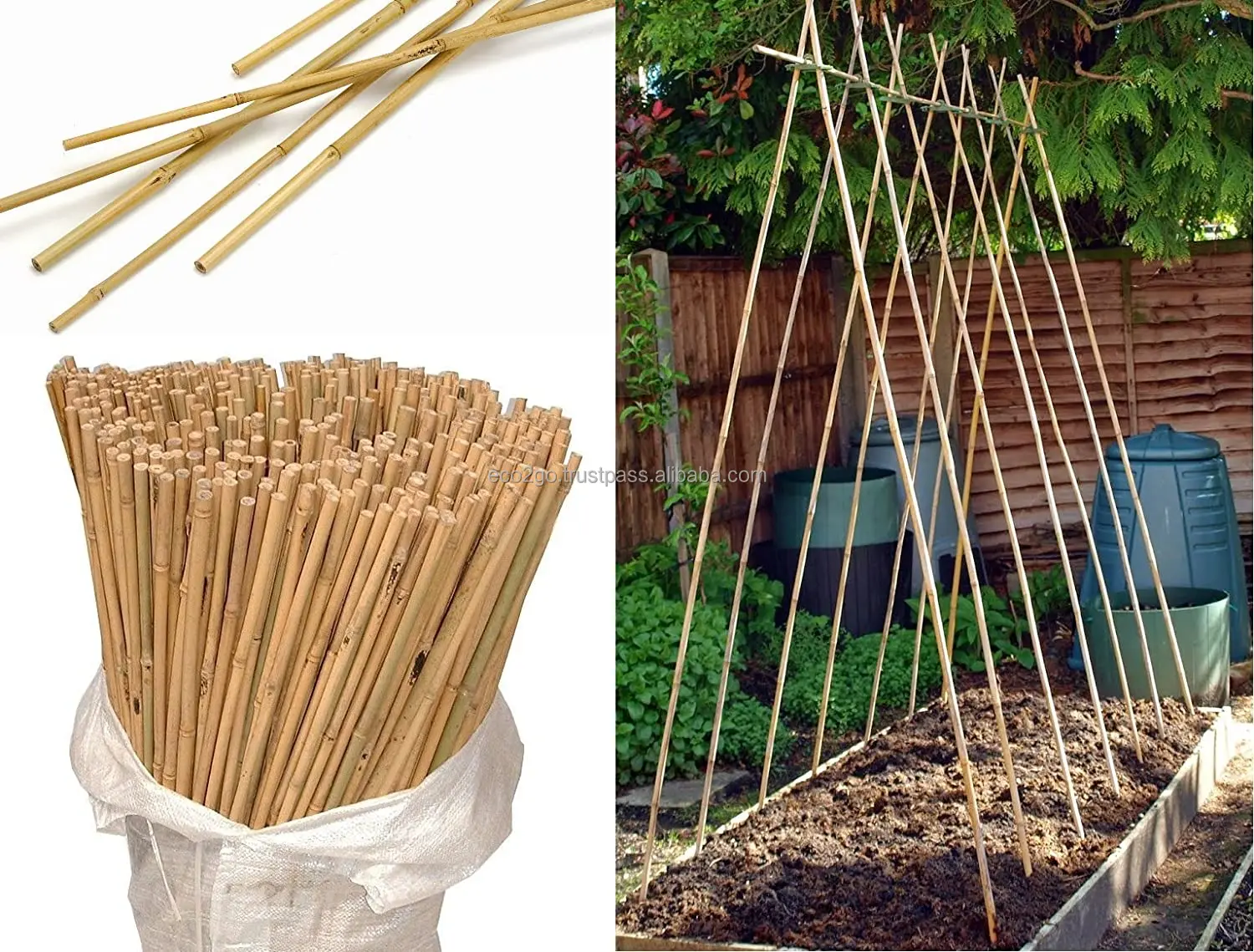 Natural Bamboo Poles Cane Strips Slats Stakes High Quality Eco2go ...