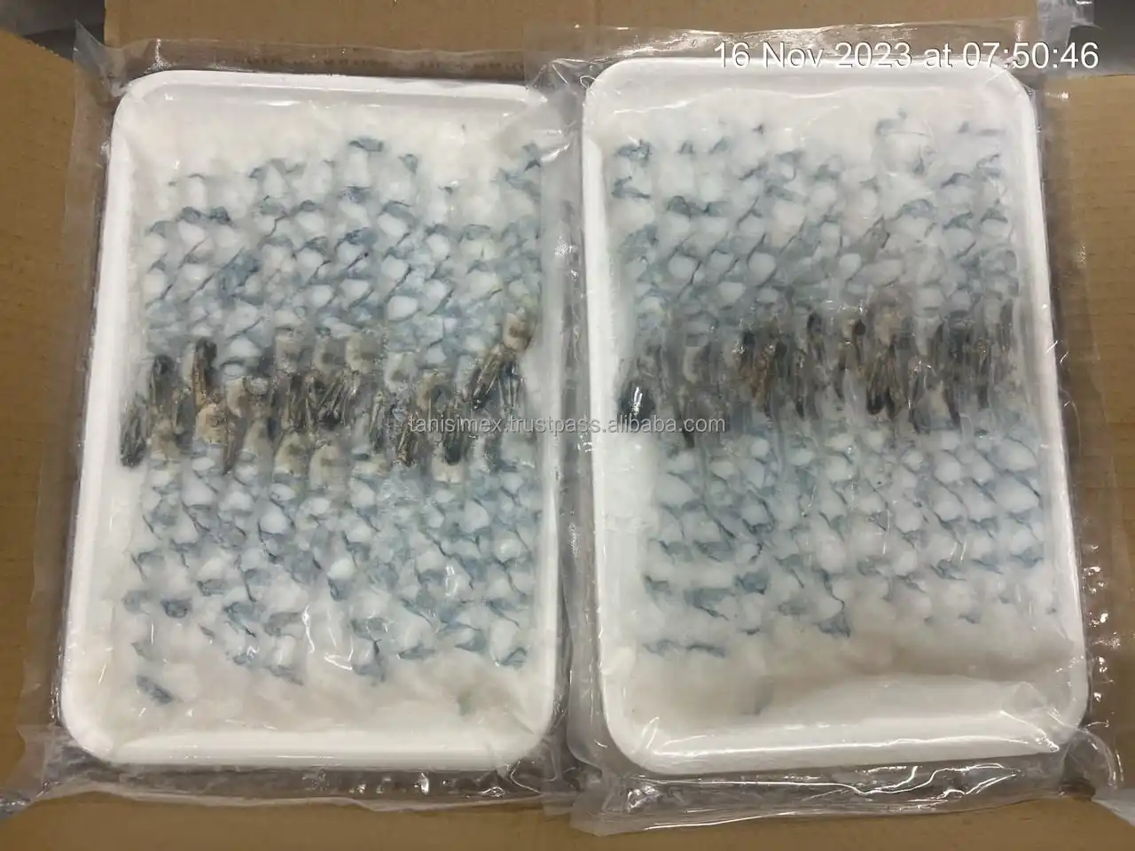 Frozen Nobashi Ebi From Vannamei Shrimp - Direct Supply From Vietnam ...