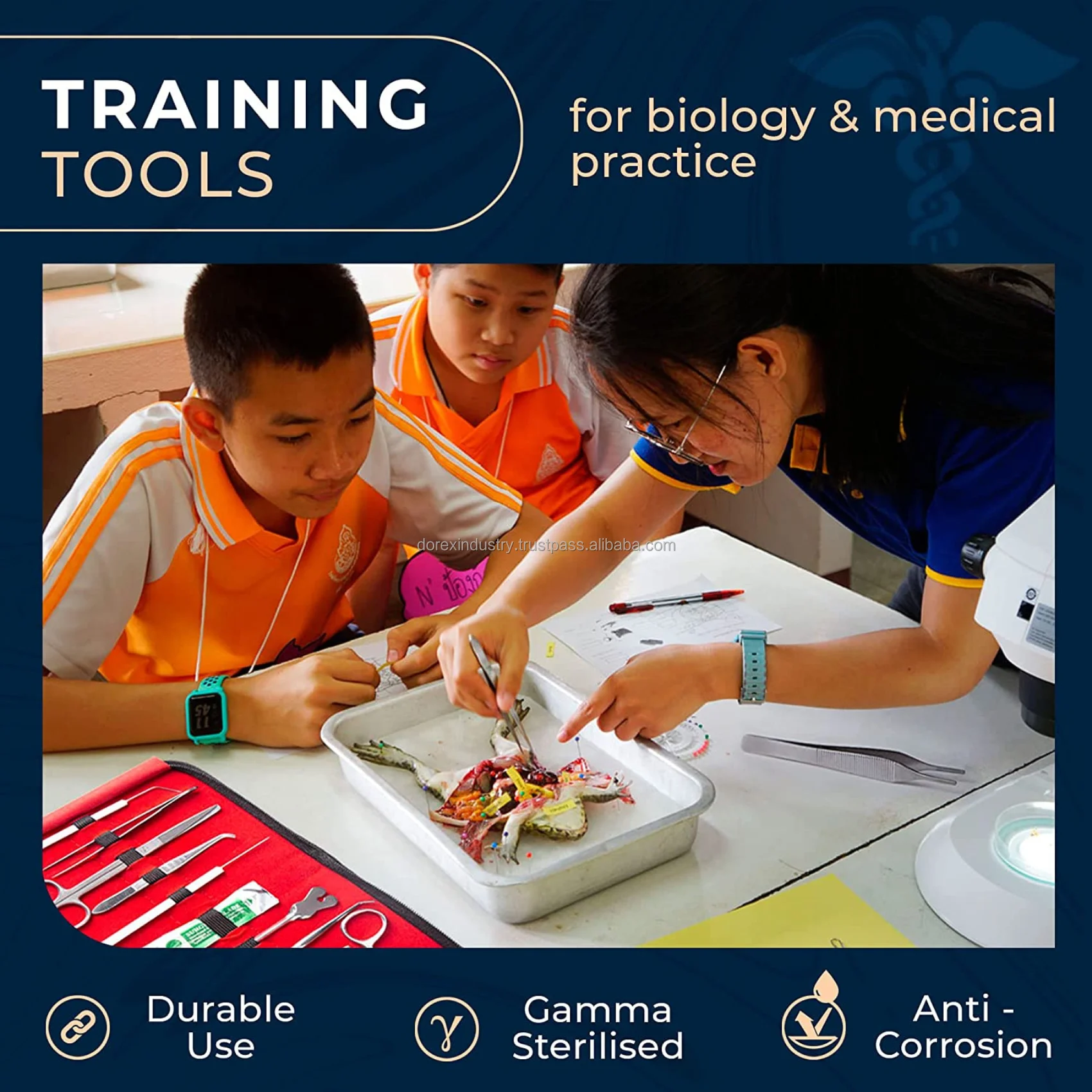 Advanced Dissection Kit Biology Lab Anatomy Dissecting Set For Medical ...