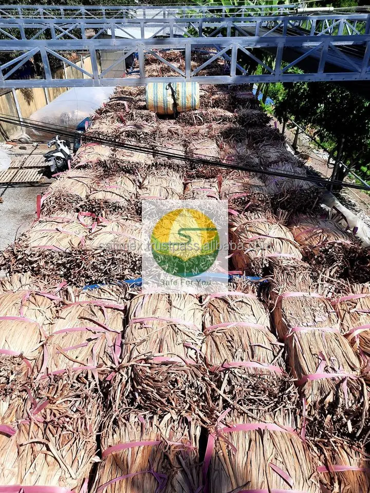 Dried Water Hyacinth for Basket Making - Eco-Friendly Material