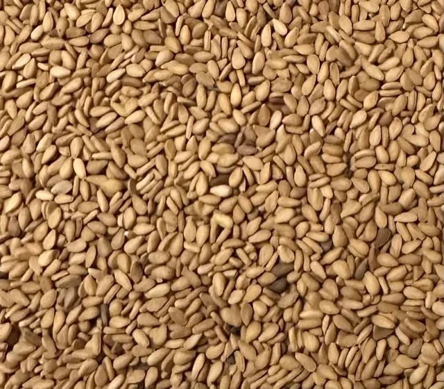 Natural Yellow Sesame - Buy Yellow Sesame,Yellow Sesame Seed,Bangladesh ...
