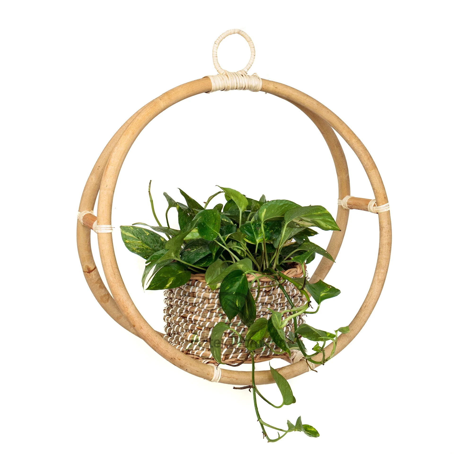Seagrass and Rattan Flower Pot with Hanger - Modern & Eco-friendly