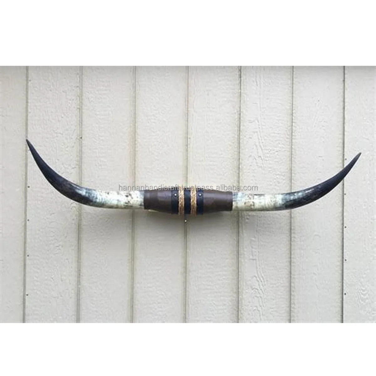 Agate Luxury Cow Horn Made Mounted Wall Decor Buffalo Cow Horn Mounted ...