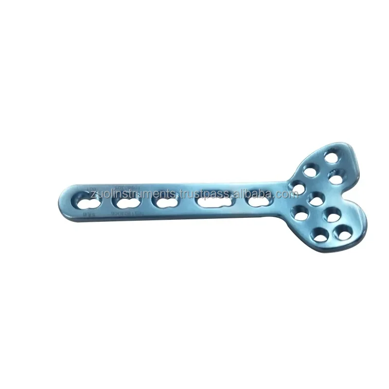 Screw Plate Orthopedic Bone Surgical Instruments Orthopedic Bone Plates ...