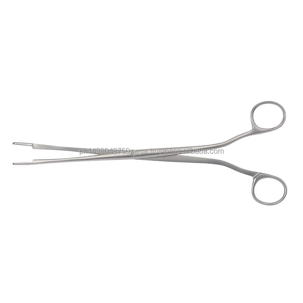 Randall Renal Calculus Forceps Curve A Slight Curve 230mm - Buy Curved ...