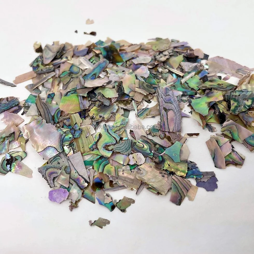 Large Paua Shells In Eco-friendly Feature - Buy Large Paua Shells For ...