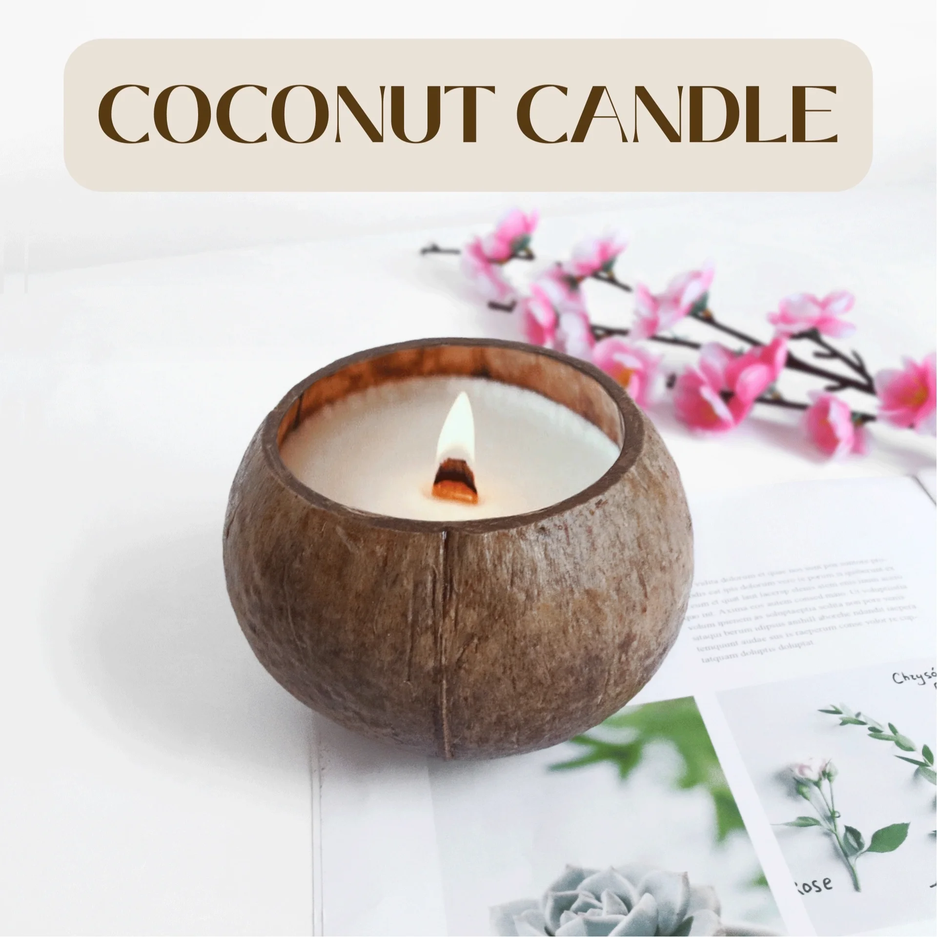Luxury Coconut Scented Candle Natural Coco Shell Bowl Lime Soy Wax ...