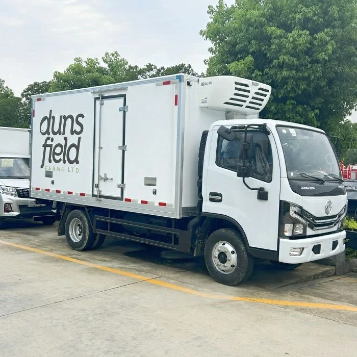 Factory 4*2 Freezer Box Small Refrigerated Trucks for Frozen Food ...