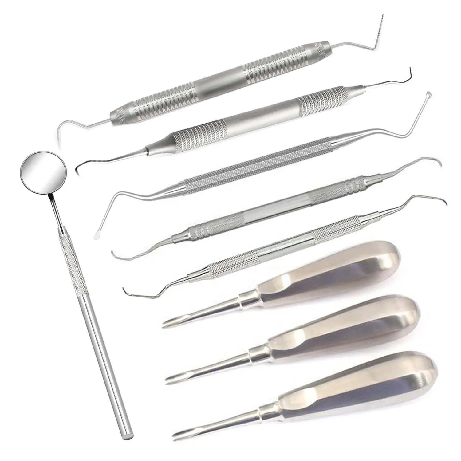 9-Piece Basic Hygiene Veterinary Instrument Kit Dental Extraction ...