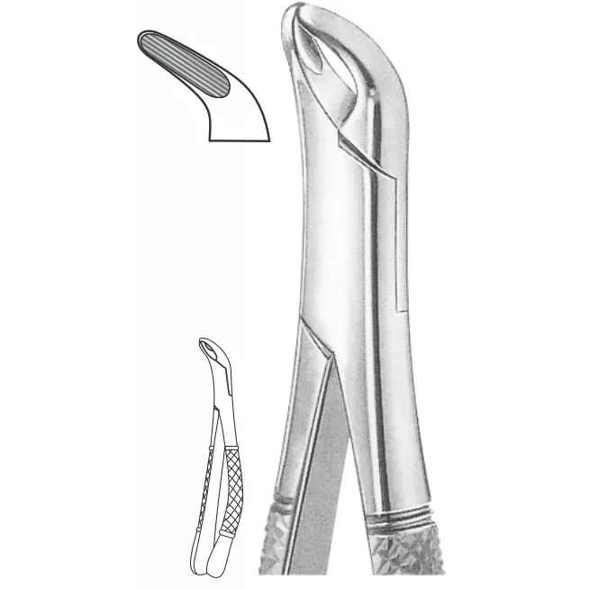 American Pattern Dental Surgical Instruments for Upper Centrals USPIDS ...