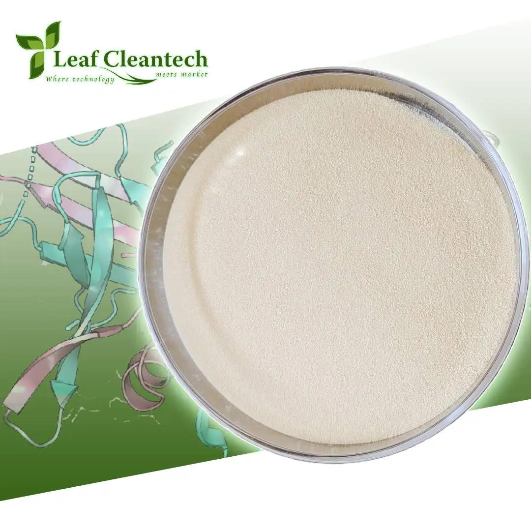 Fungal Alpha Amylase Food Enzyme Powder From Top Enzyme Manufacturer ...