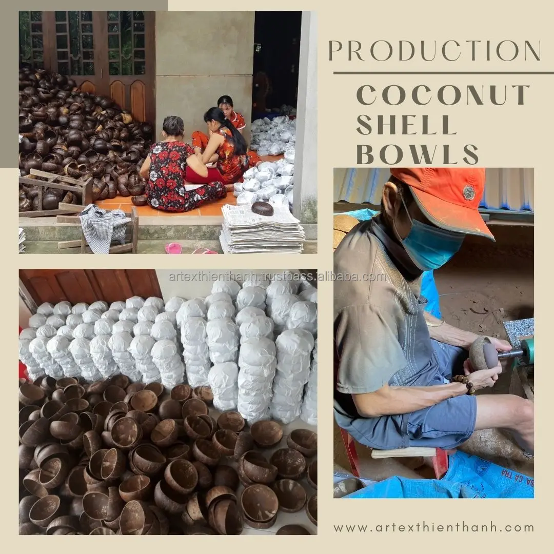 Sustainable Coconut Shell Bowl From Vietnam Factory Popular Custom ...