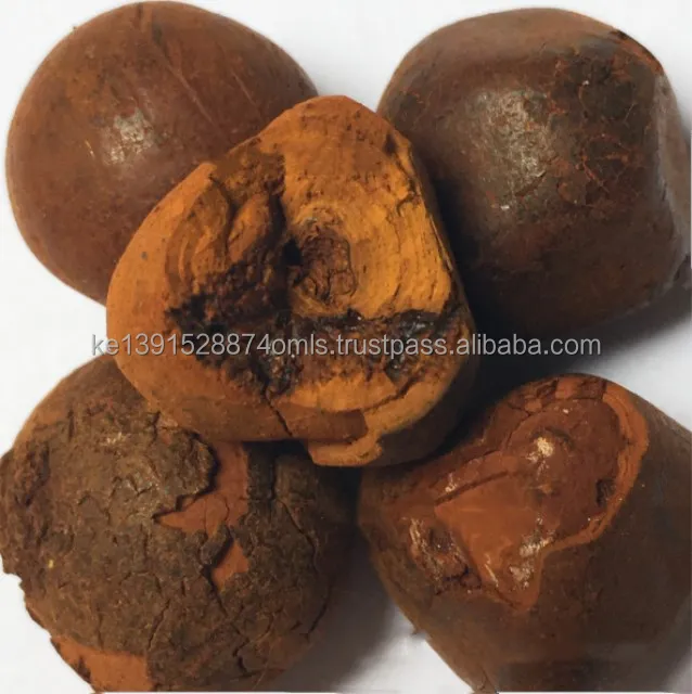 100 % Whole Ox Cattle Gallstone / Cow Gallstone / Natural Bezoar ...
