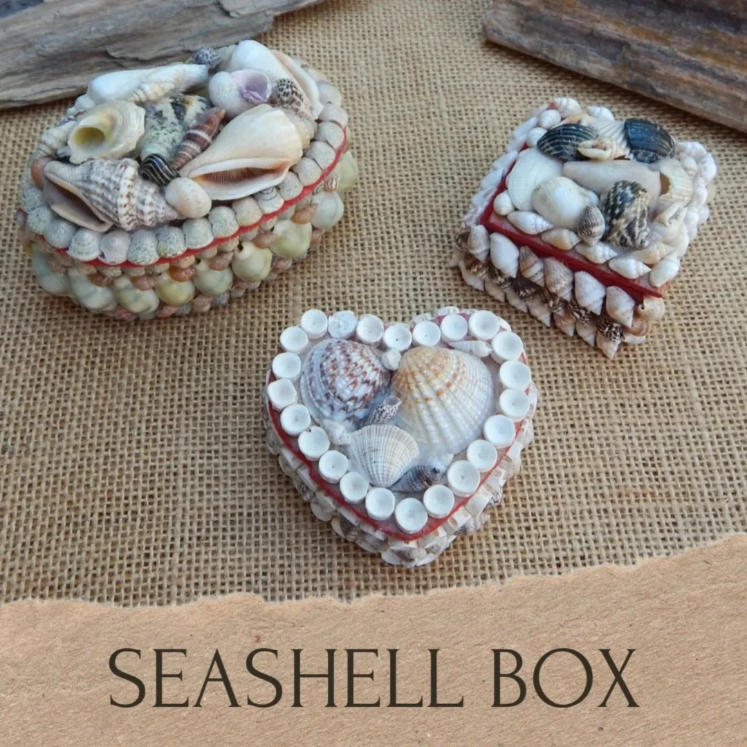 Handmade Unique Style Seashell Jewelry Box Gift Container Sea Shells ...