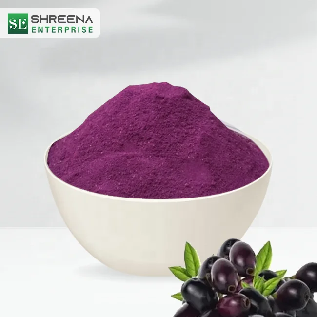 Wholesale Price Organic Jamun Powder From India Freeze Dried Natural ...