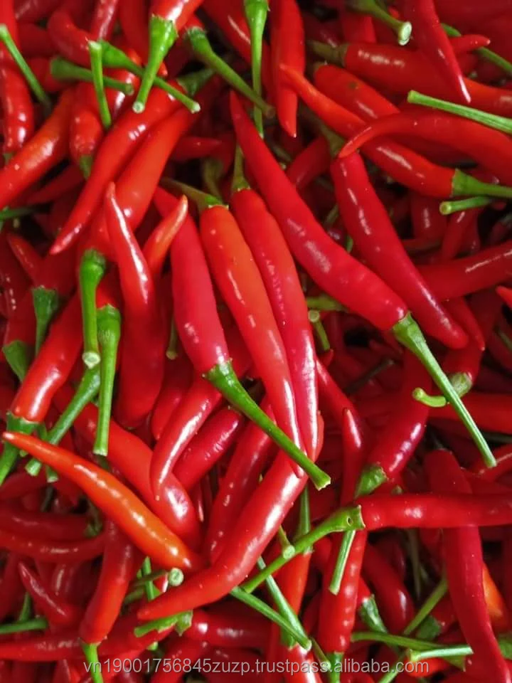 Best Price Factory Frozen Red Chili Hot Chili Pepper With High Quality ...