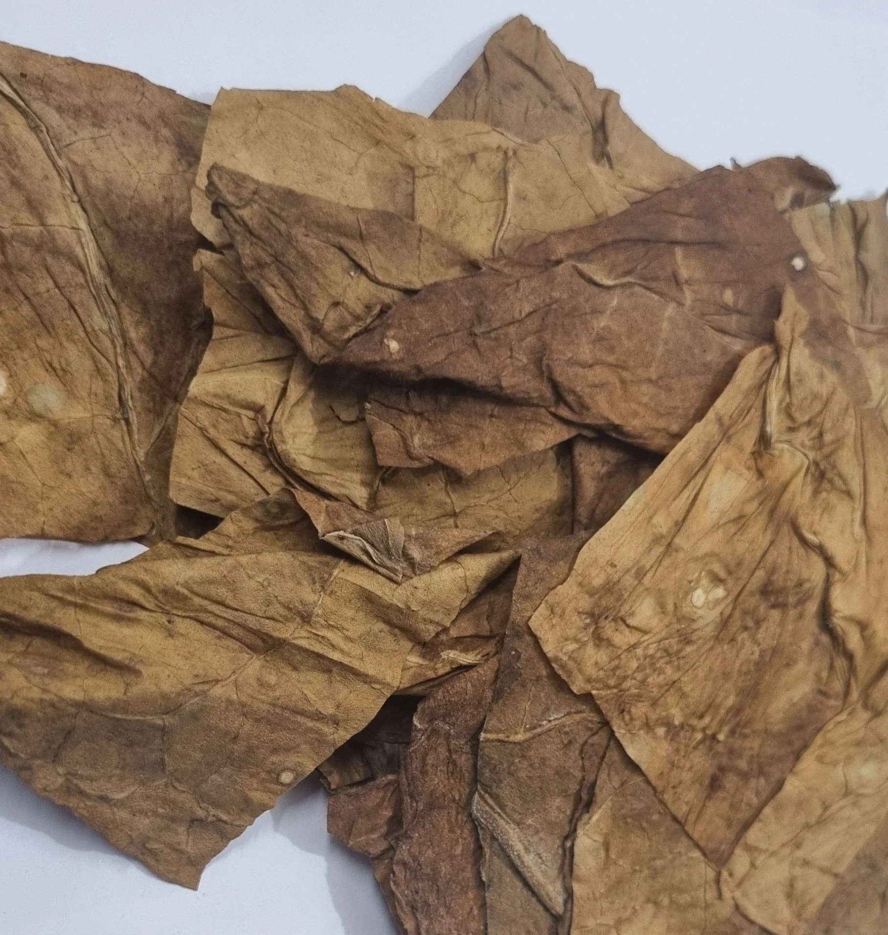 Natural Herbal Brown & Green Loose Rolling Leaf Perfectly Cut Leaves ...