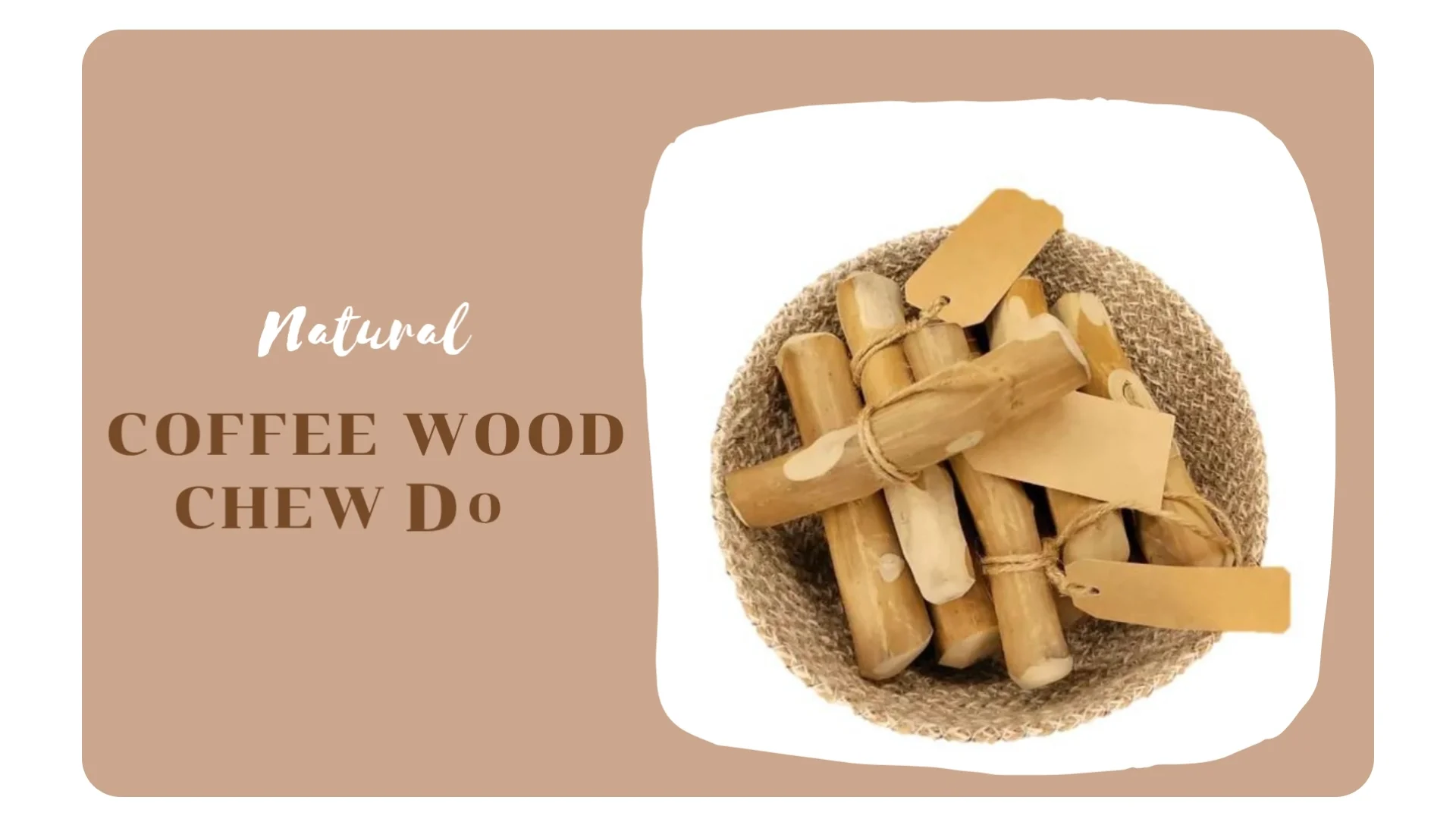 Hot 2024 Sustainable Coffee Wood Chew Toys Pet/ Tree Bone Stick Chew ...
