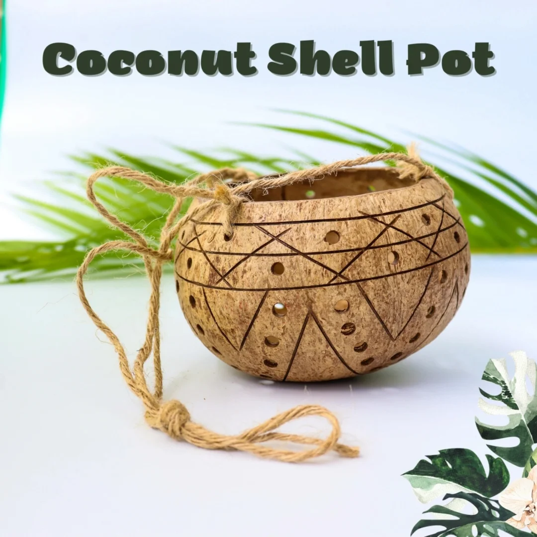 Eco Friendly Natural Coconut Shell Flower Pots Coco Hanging Garden ...