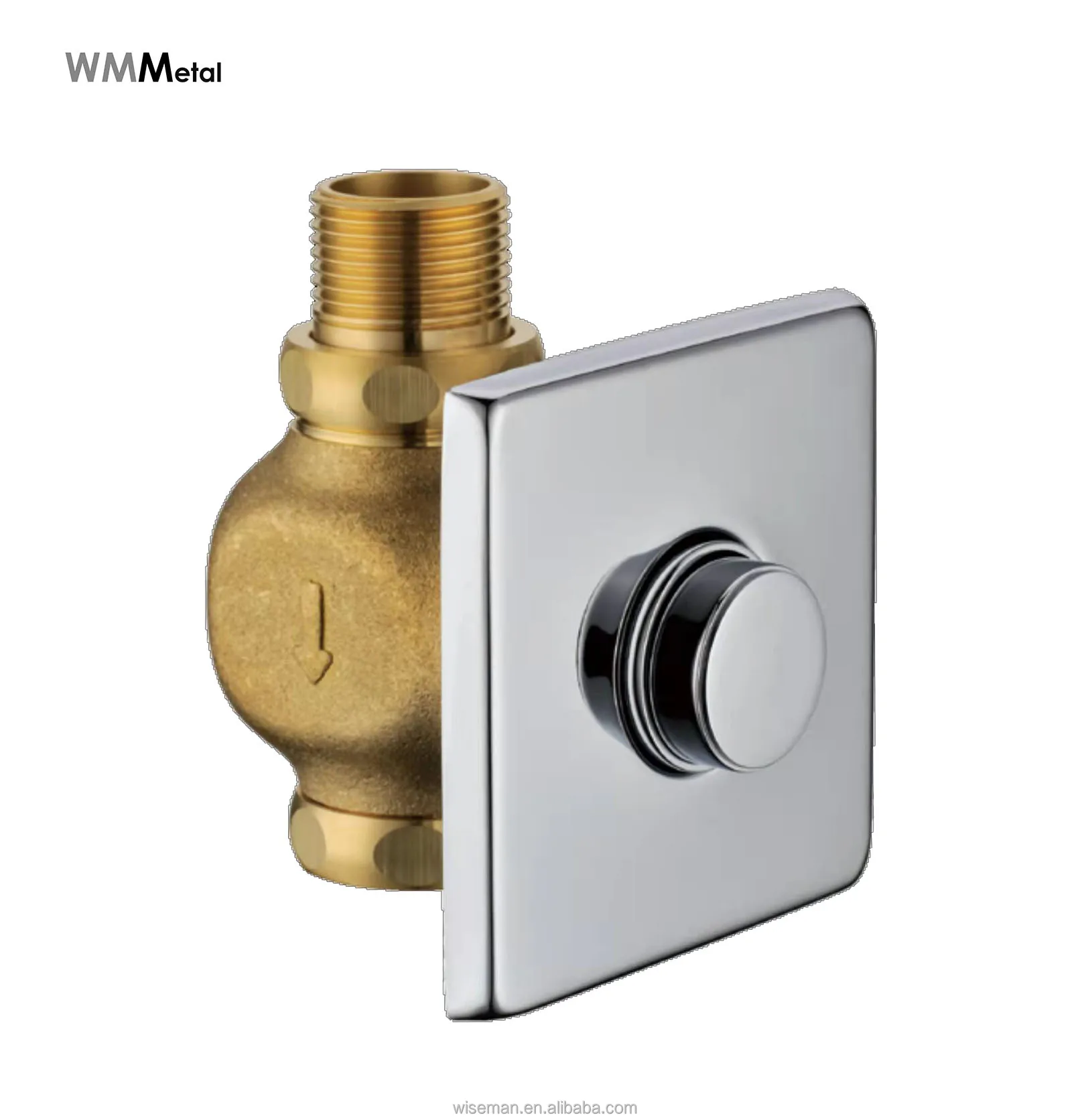 Push Button Concealed Time Delay Flush Valve for Toilet