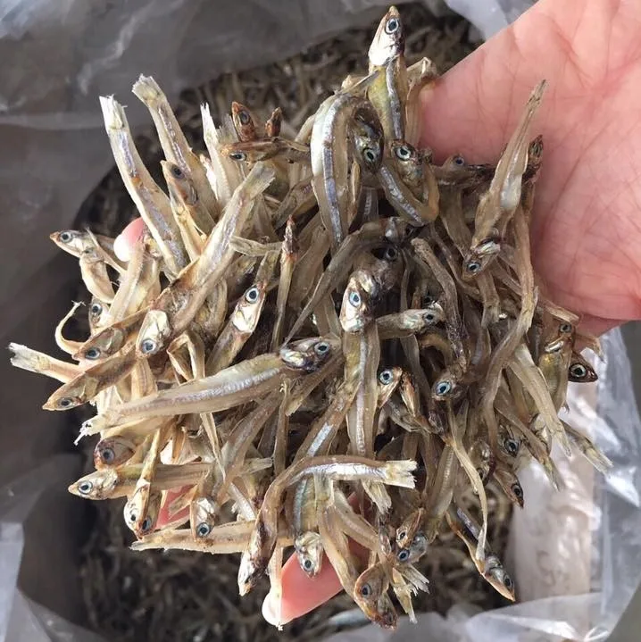 HIGH VERY DRY FISH SILVER LINE DRIED ANCHOVY - SPRATS GOLDEN COLOUR ...