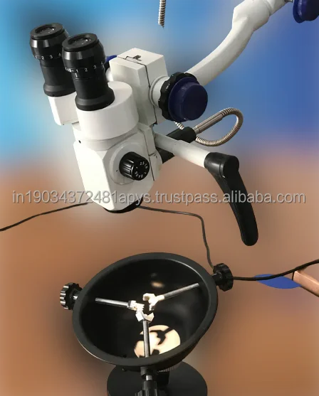 Science & Surgical Top Model Endodontic Technology Dental Operating ...