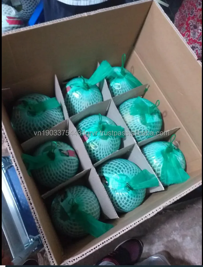 Vietnam Fresh Grape Fruit/ Pomelo Ready to Export Wholesale in 12kg ...