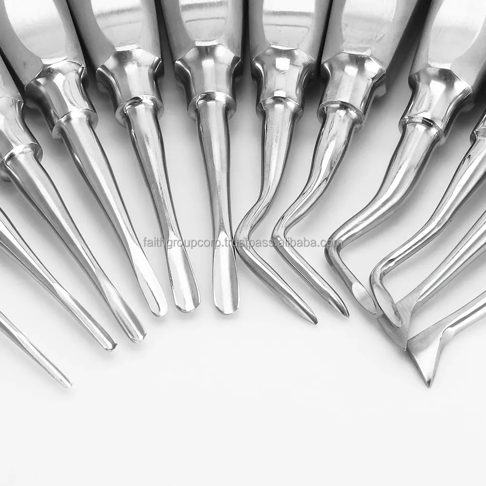 12 PCS Set Dental Elevator Stainless Steel Teeth Extraction Tools Kit ...