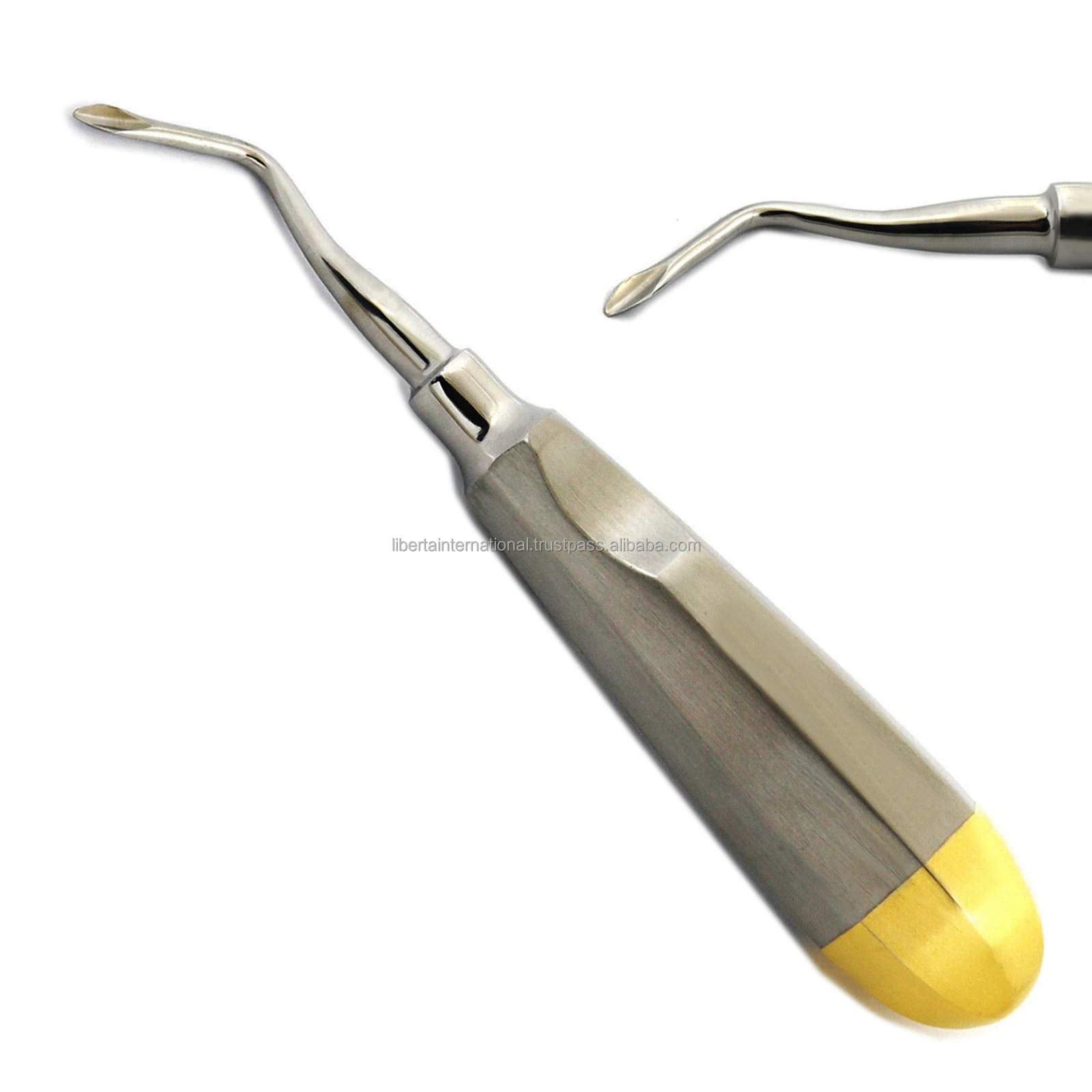 Set of 5 Teeth Dental Surgical Root Extraction Elevators Concave Tip ...