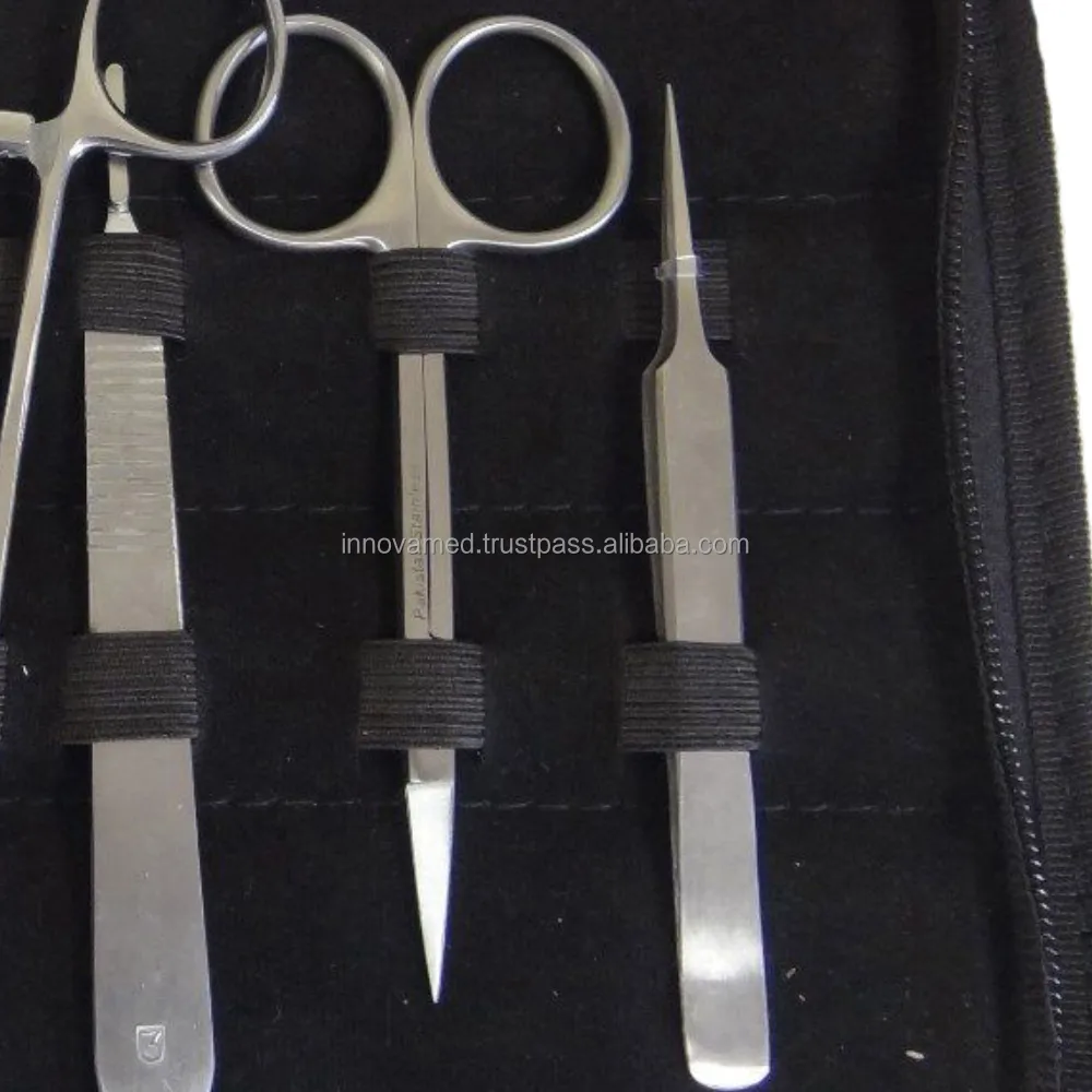 Dissecting Fragging Propagation Reef Hard Soft Custom Made Coral ...