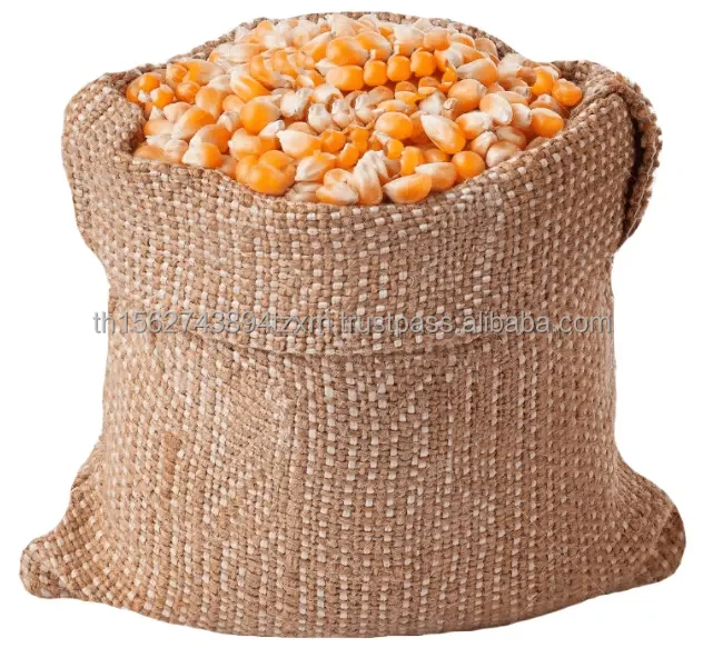 Premium Yellow And White Corn Natural Yellow Corn Best Price Wholesale ...