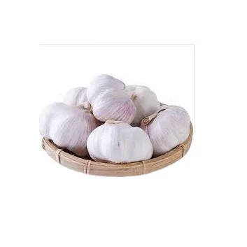 Fresh Garlic(normal White Garlic & Pure White) Sizes 4.5cm-6.5cm High ...
