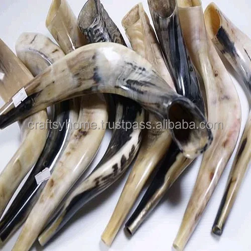 Shop Our Hot Selling Natural Ram Shofar Horns for Blowing