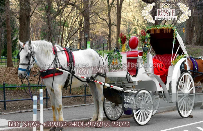European Style White Horse Drawn Carriage White Victorian Style Horse ...