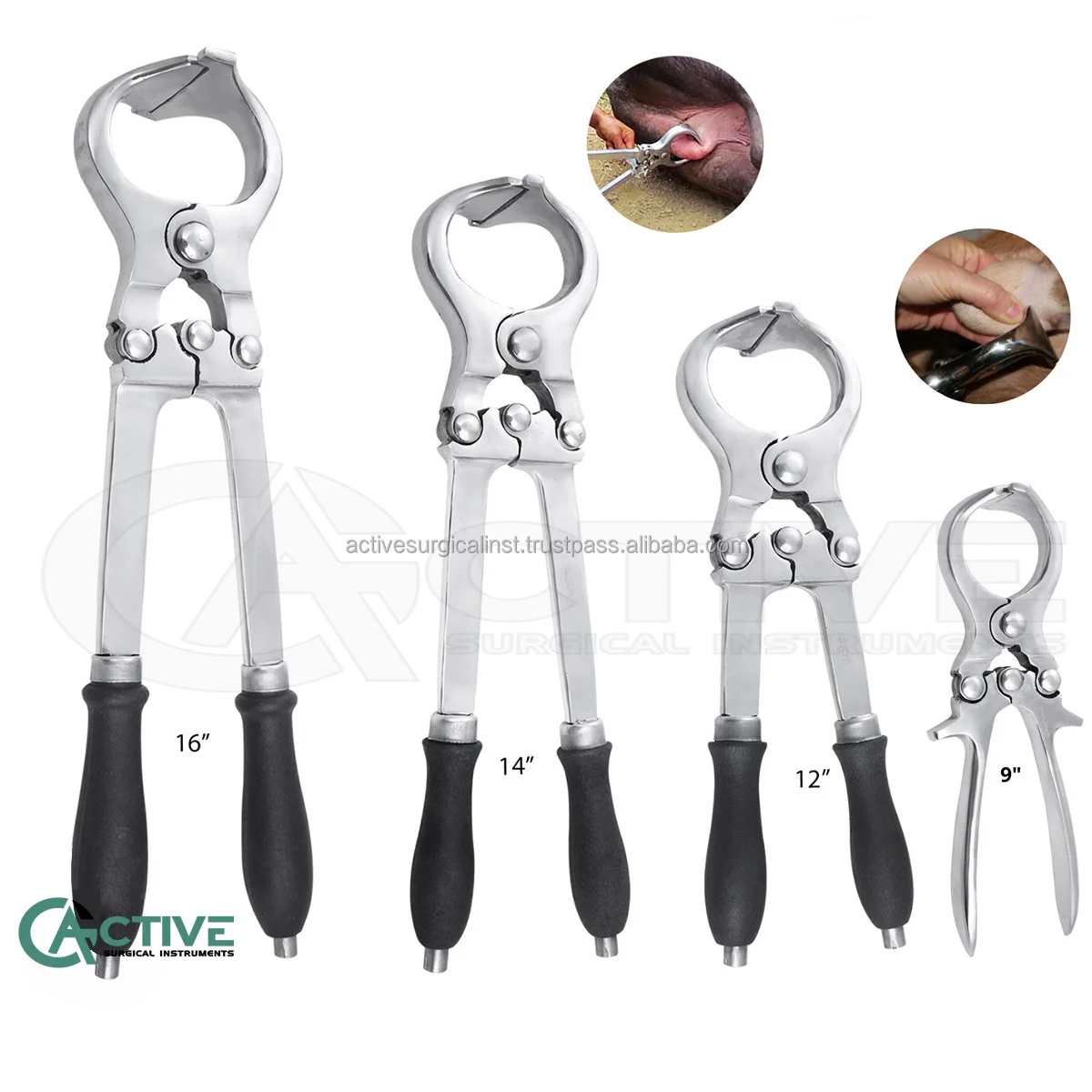 Tracheostomy Griggs Forceps - Durable & Reusable Surgical Instruments