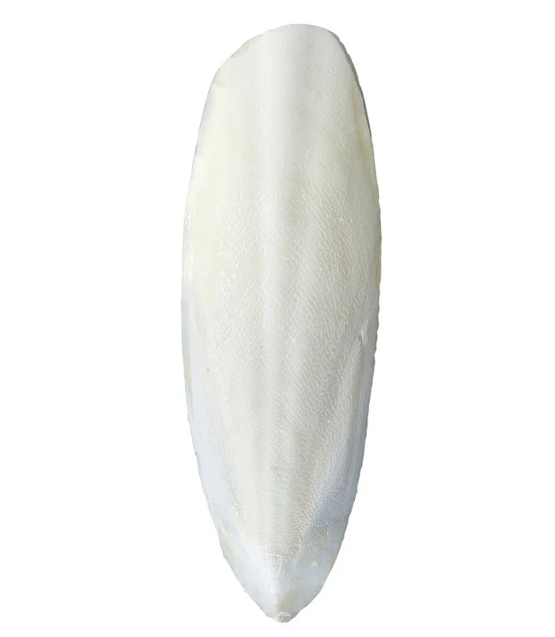 Top Best Selling Cuttlefish Bone For Birds//best Premium Cuttlefish ...